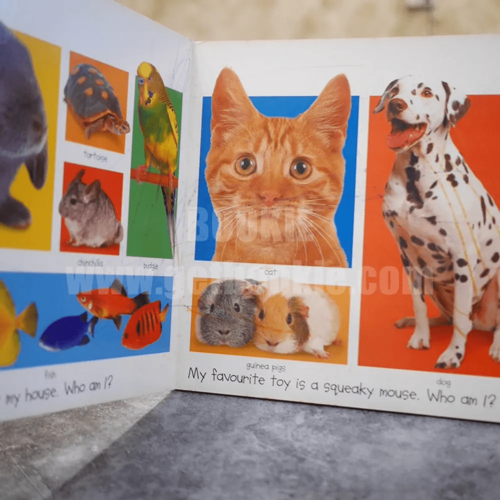 หนังสือ My big animal book รหัส 677087 ขายหนังสือMy big animal book ...