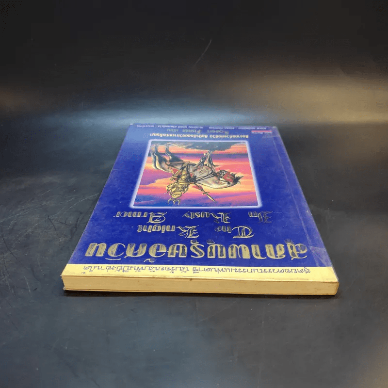 หนังสือ สุภาพบุรุษอัศวิน The Knight In Rusty Armor - Robert Fisher รหัส ...