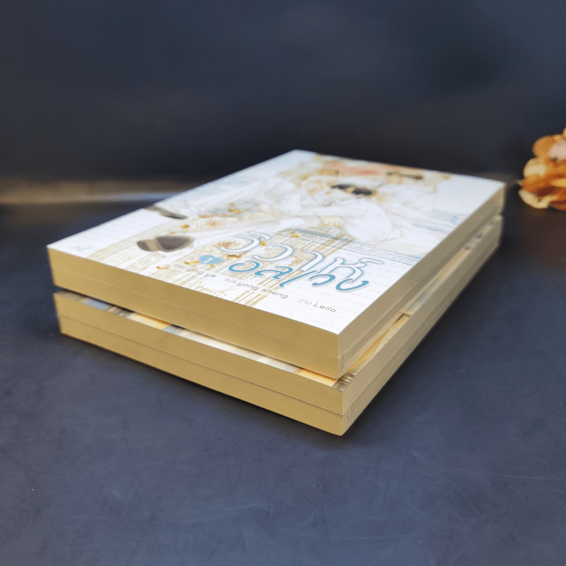 หนังสือ นิยายวาย คู่หมั้นอลวน วิวาห์อลเวง 4 เล่มจบ - Ying Ye รหัส ...