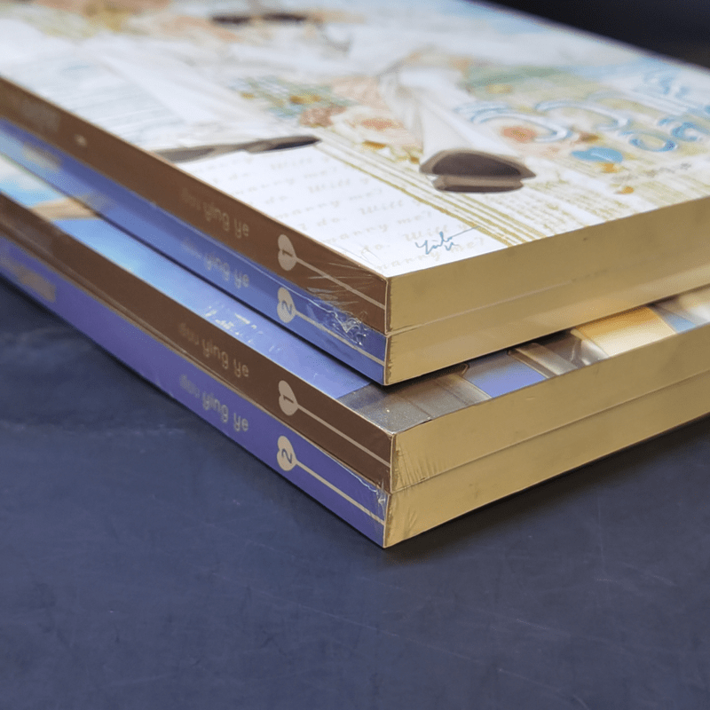 หนังสือ นิยายวาย คู่หมั้นอลวน วิวาห์อลเวง 4 เล่มจบ - Ying Ye รหัส ...