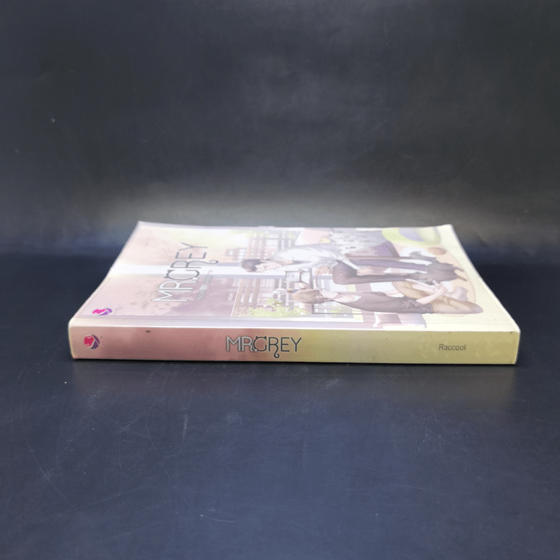 หนังสือ นิยายวาย Mr.Grey - Raccool รหัส 1059586 ขายหนังสือนิยายวาย Mr.Grey - Raccool ร้านเก็ทบุ๊คกี้