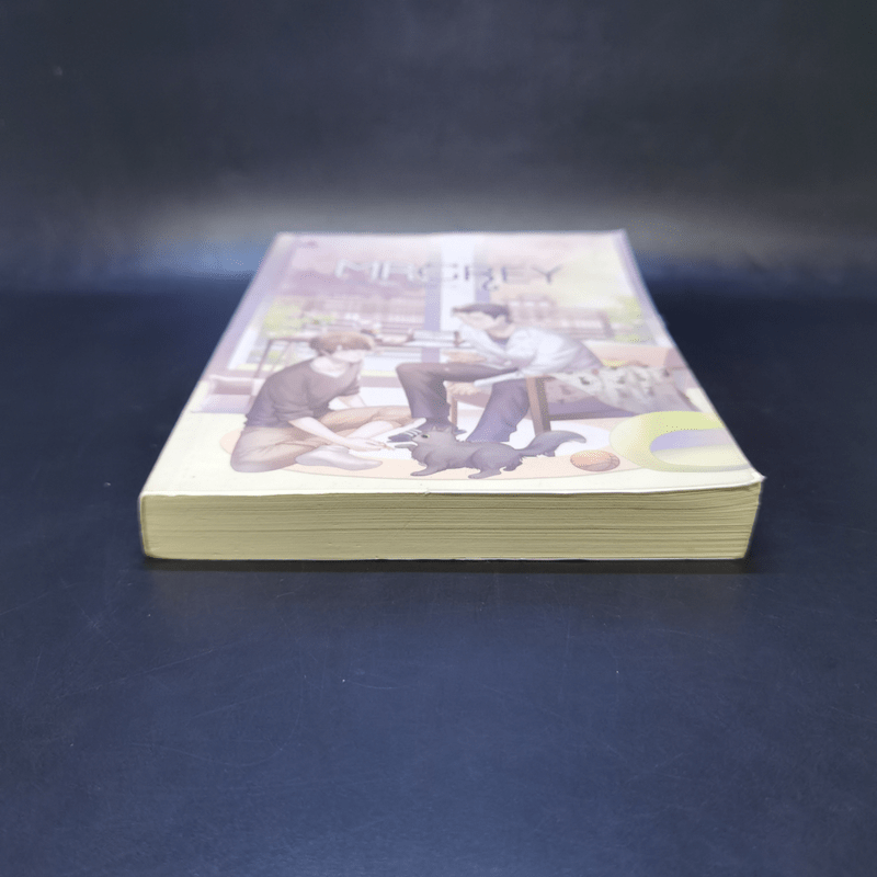 หนังสือ นิยายวาย Mr.Grey - Raccool รหัส 1059586 ขายหนังสือนิยายวาย Mr.Grey - Raccool ร้านเก็ทบุ๊คกี้