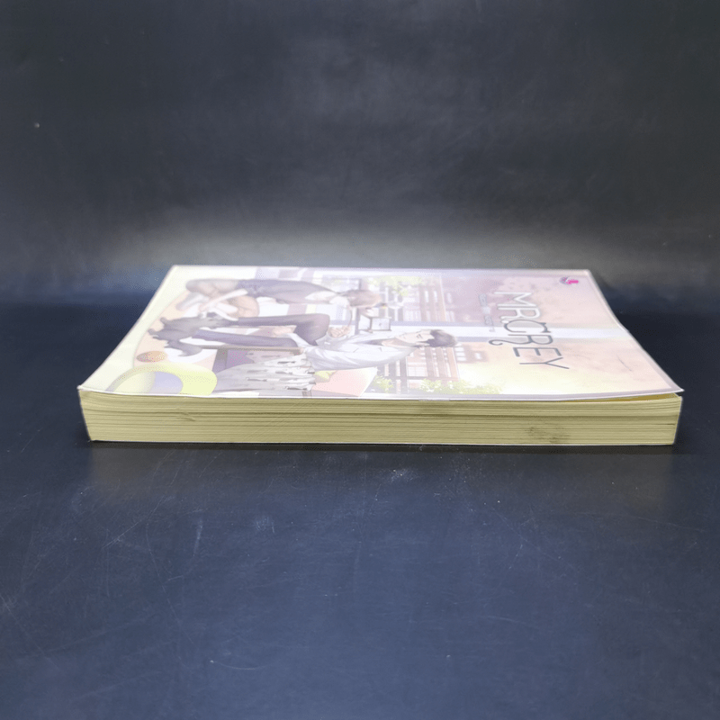 หนังสือ นิยายวาย Mr.Grey - Raccool รหัส 1059586 ขายหนังสือนิยายวาย Mr.Grey - Raccool ร้านเก็ทบุ๊คกี้