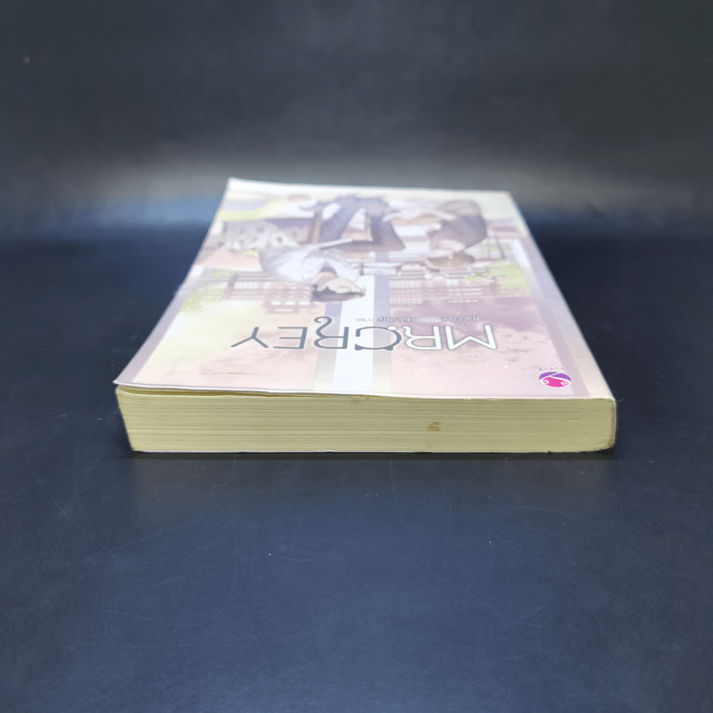 หนังสือ นิยายวาย Mr.Grey - Raccool รหัส 1059586 ขายหนังสือนิยายวาย Mr.Grey - Raccool ร้านเก็ทบุ๊คกี้