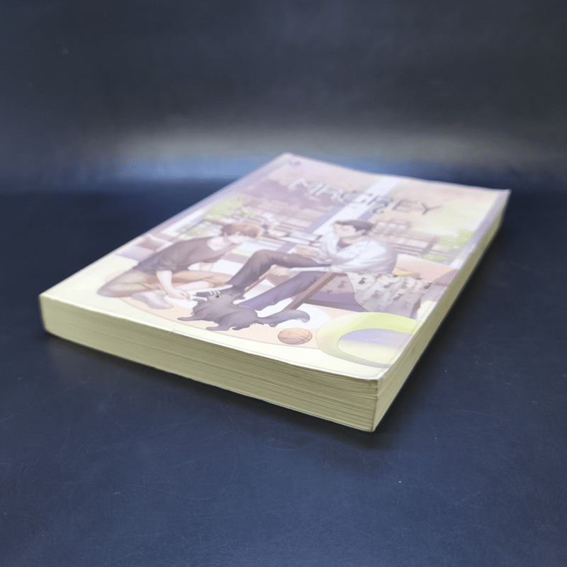 หนังสือ นิยายวาย Mr.Grey - Raccool รหัส 1059586 ขายหนังสือนิยายวาย Mr.Grey - Raccool ร้านเก็ทบุ๊คกี้