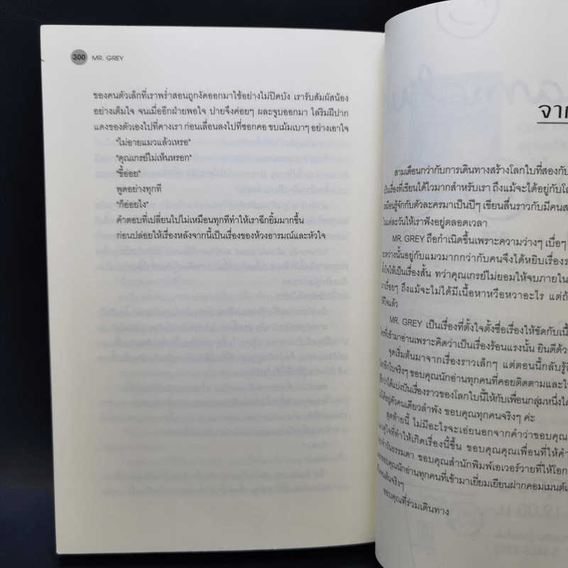 หนังสือ นิยายวาย Mr.Grey - Raccool รหัส 1059586 ขายหนังสือนิยายวาย Mr.Grey - Raccool ร้านเก็ทบุ๊คกี้