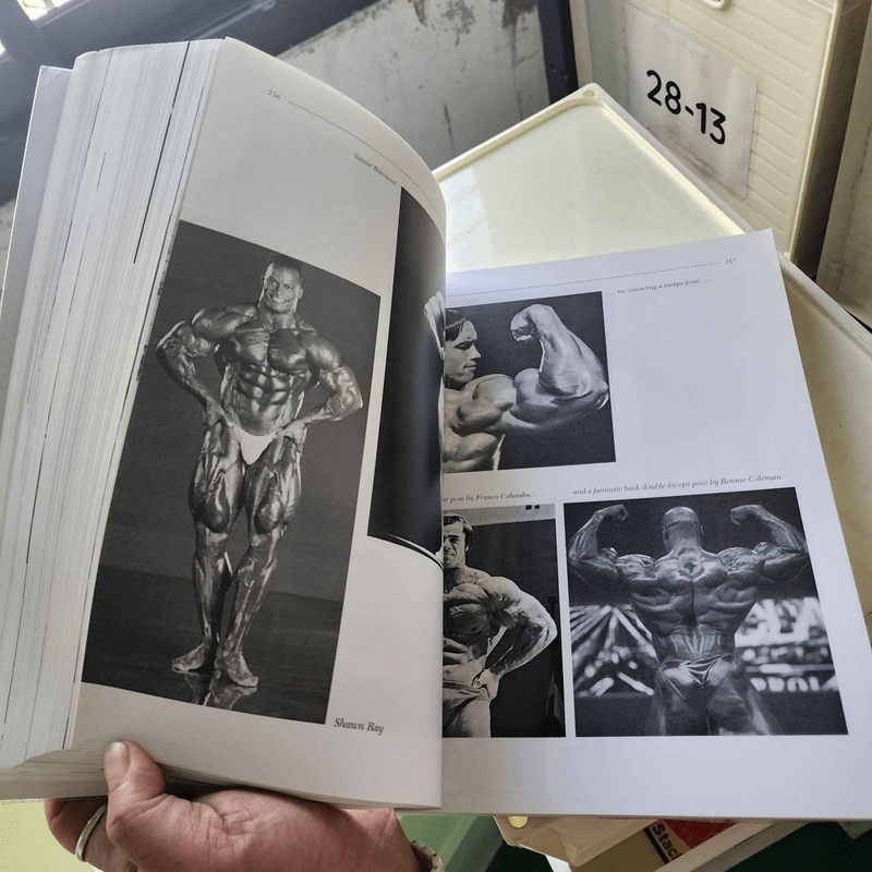 หนังสือ The New Encyclopedia of Modern Bodybuilding - Arnold ...