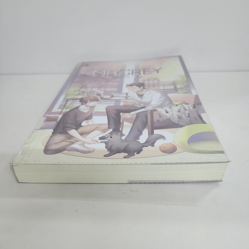 หนังสือ นิยายวาย Mr.Grey - Raccool รหัส 1094902 ขายหนังสือนิยายวาย Mr.Grey - Raccool ร้านเก็ทบุ๊คกี้