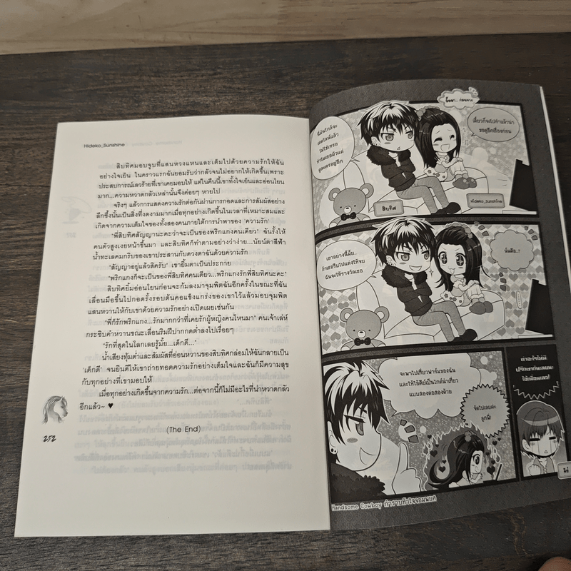 หนังสือ Handsome Cowboy กำราบหัวใจจอมพยศ - Hideko_Sunshine รหัส 1143076 ...